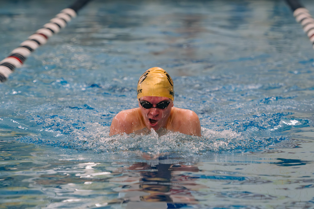 Holt Boys Swimming & Diving's Photo on Blast Athletics | Blast Athletics